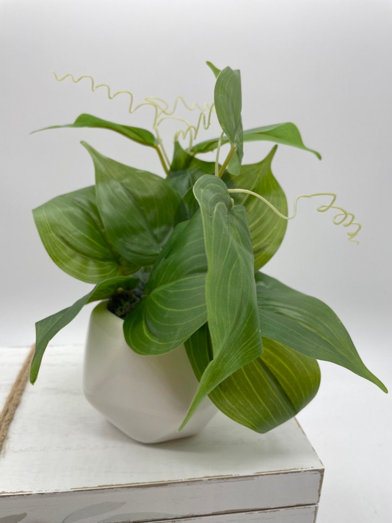 Fake Plant in Small Geometric Pot, Artificial Big Leaf Plant for Coffee ...