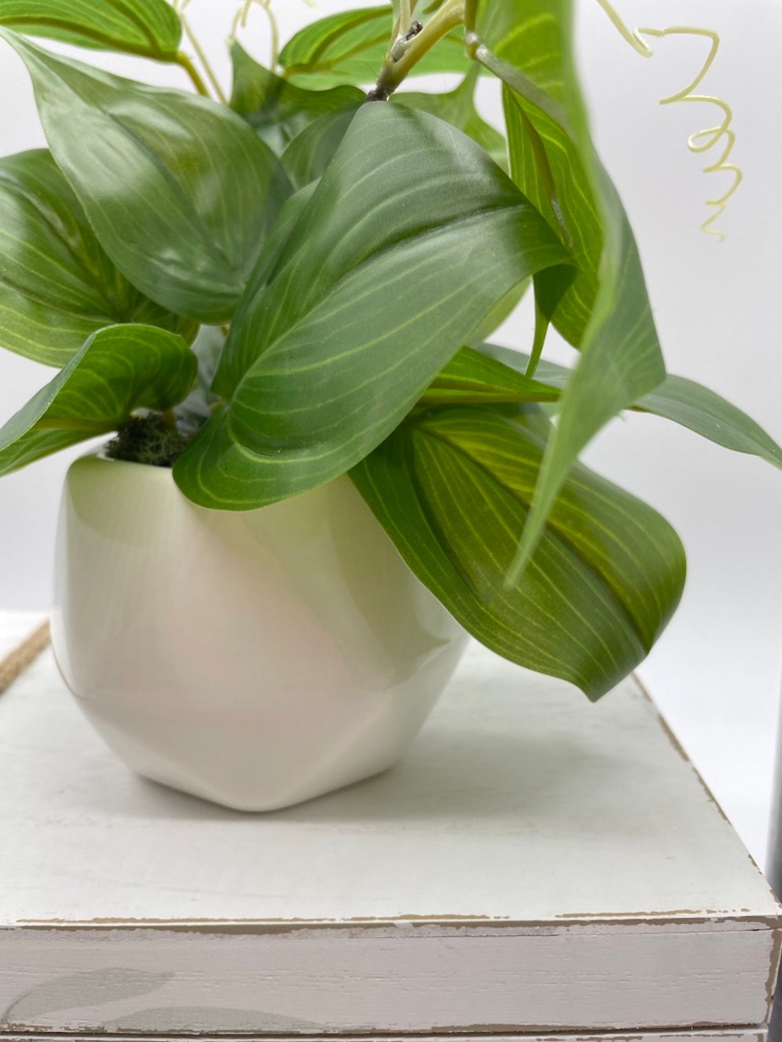 Fake Plant in Small Geometric Pot, Artificial Big Leaf Plant for Coffee ...