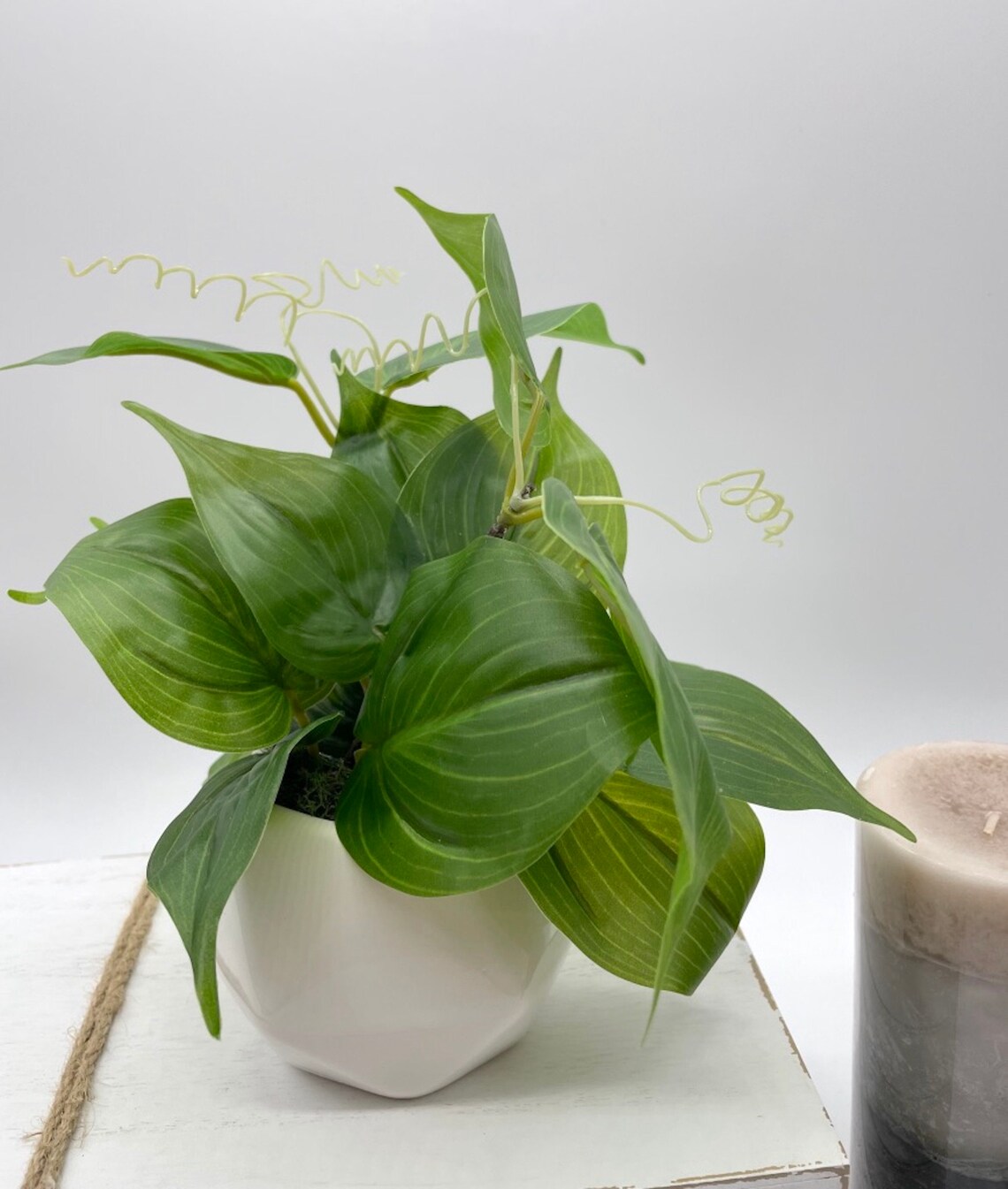 Fake Plant in Small Geometric Pot, Artificial Big Leaf Plant for Coffee ...