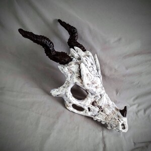 Dragon Skull Mask / Wearable Dragon Skull / Magical Mask / Wearable ...