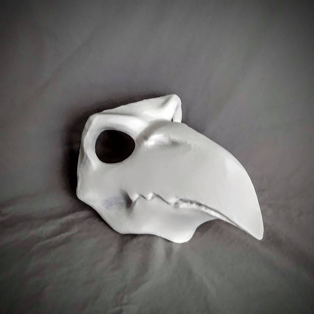 Raven Skull Mask / Nevermore Inspired Mask / Wearable - Etsy