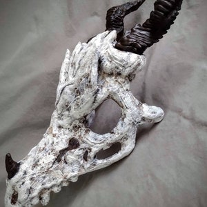 Dragon Skull Mask / Wearable Dragon Skull / Magical Mask / Wearable ...