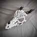 Dragon Skull Mask / Wearable Dragon Skull / Magical Mask / - Etsy