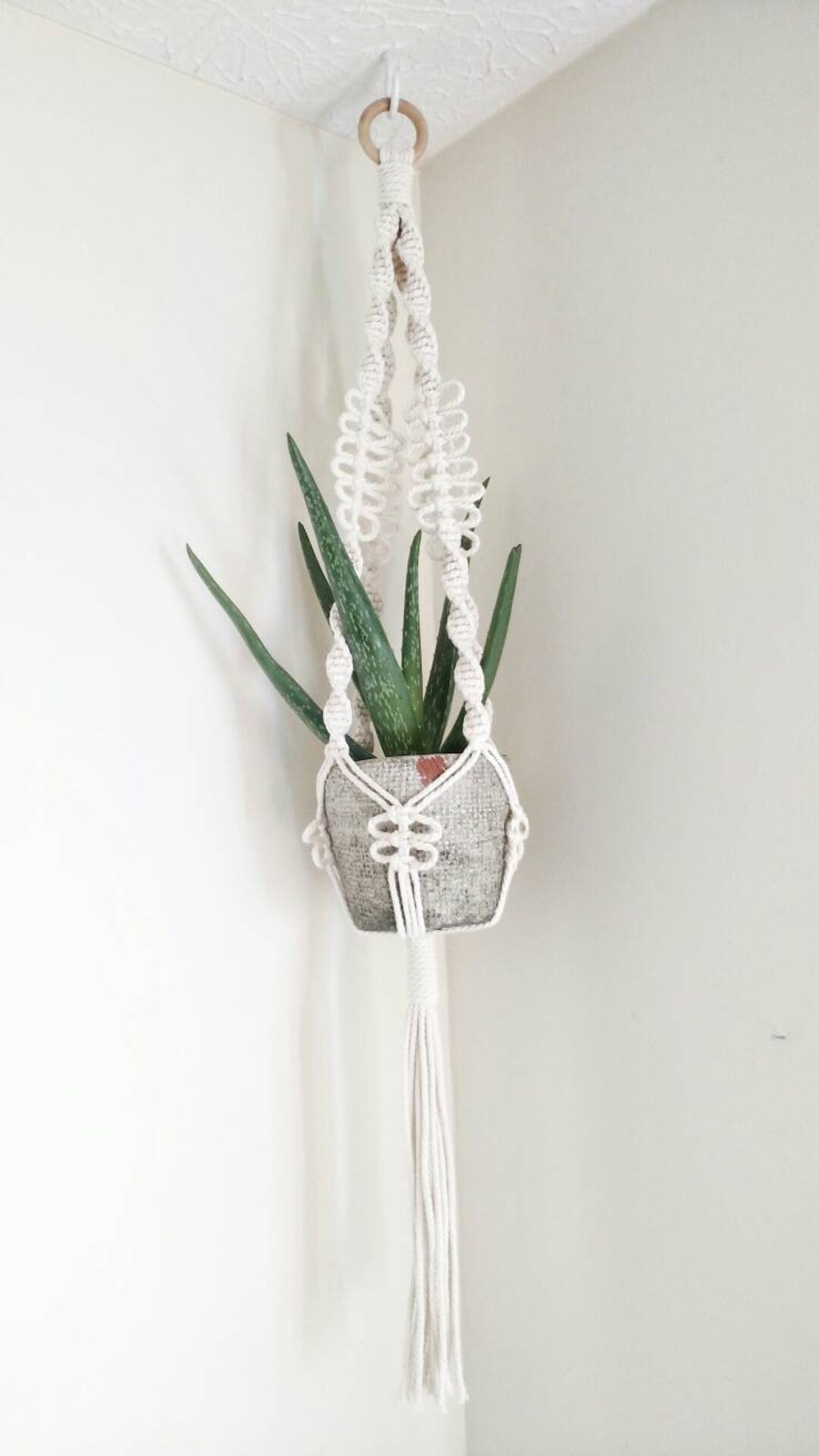 Small Macrame Plant Hanger, Macrame Wall Plant Hanger, Hanging Planter ...
