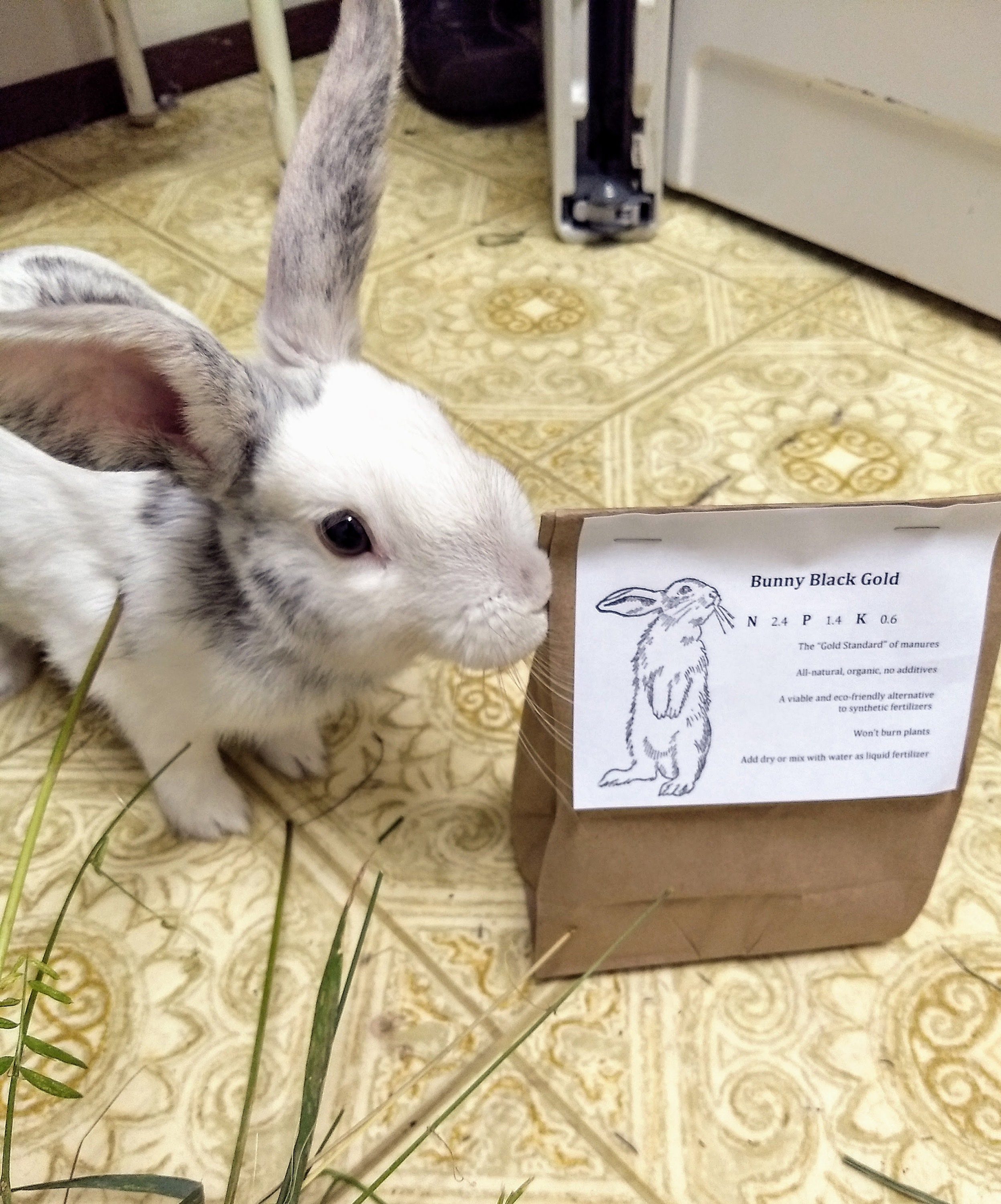 Bunny Black Gold Organic Rabbit Manure Manure Tea | Etsy Canada