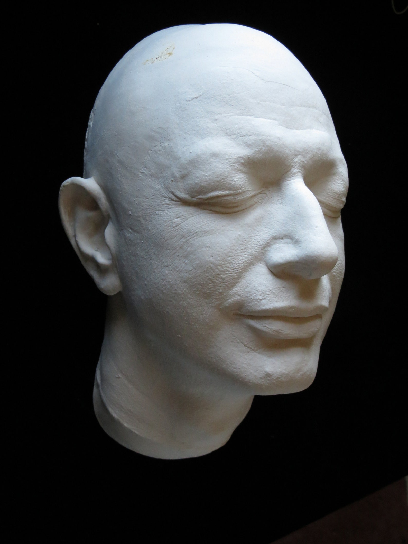 Jeff Goldblum Life Mask Cast:the Fly, Jurassic Park, Law & Order ...