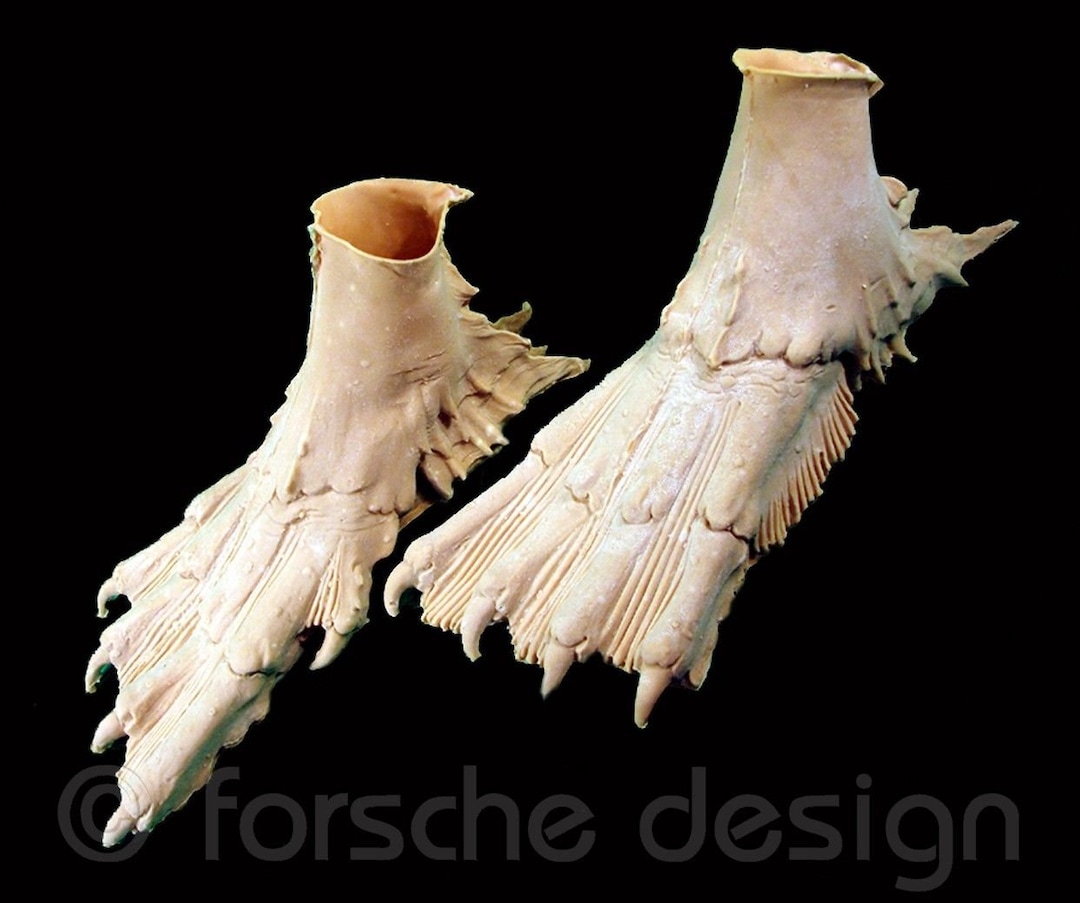 Creature From the Black Lagoon Costume Feet Cast Directly From Original ...