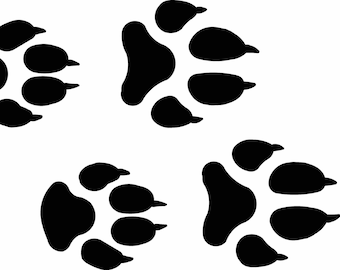 Coyote Track Decals - Etsy