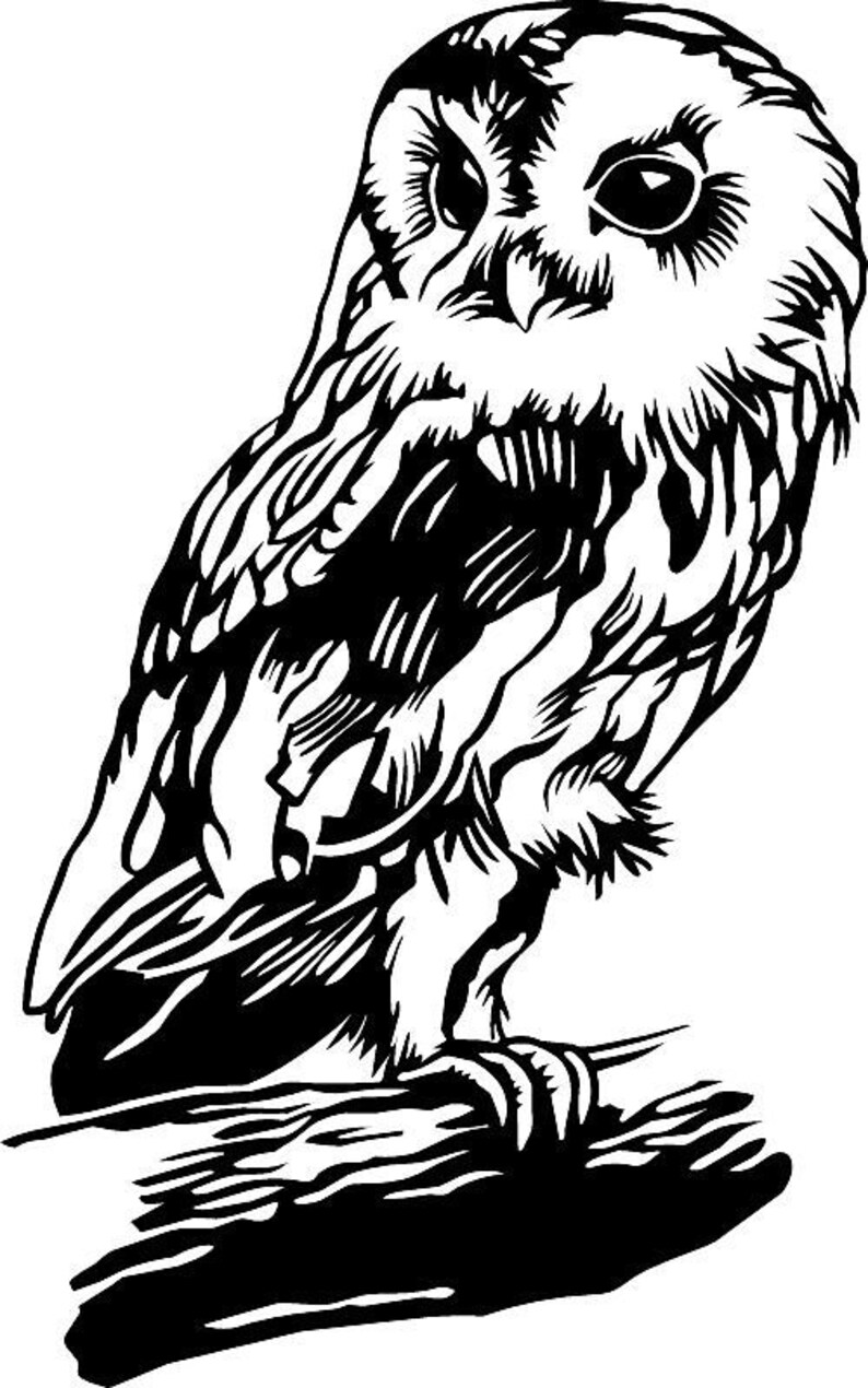 Owl Decal - Etsy Canada