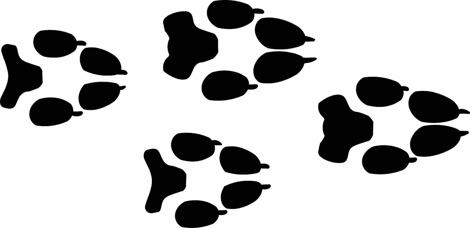 Wolf, Coyote, Fox Track Decals Foot Prints - Etsy