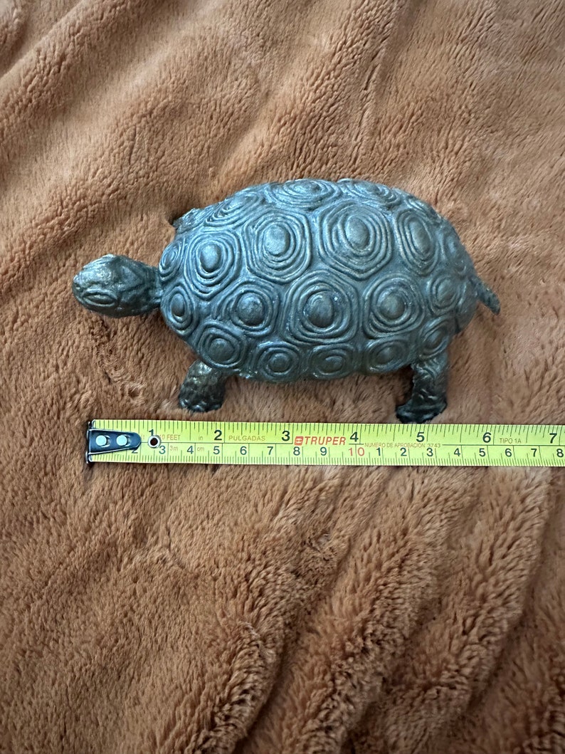 Turtle Box - Etsy