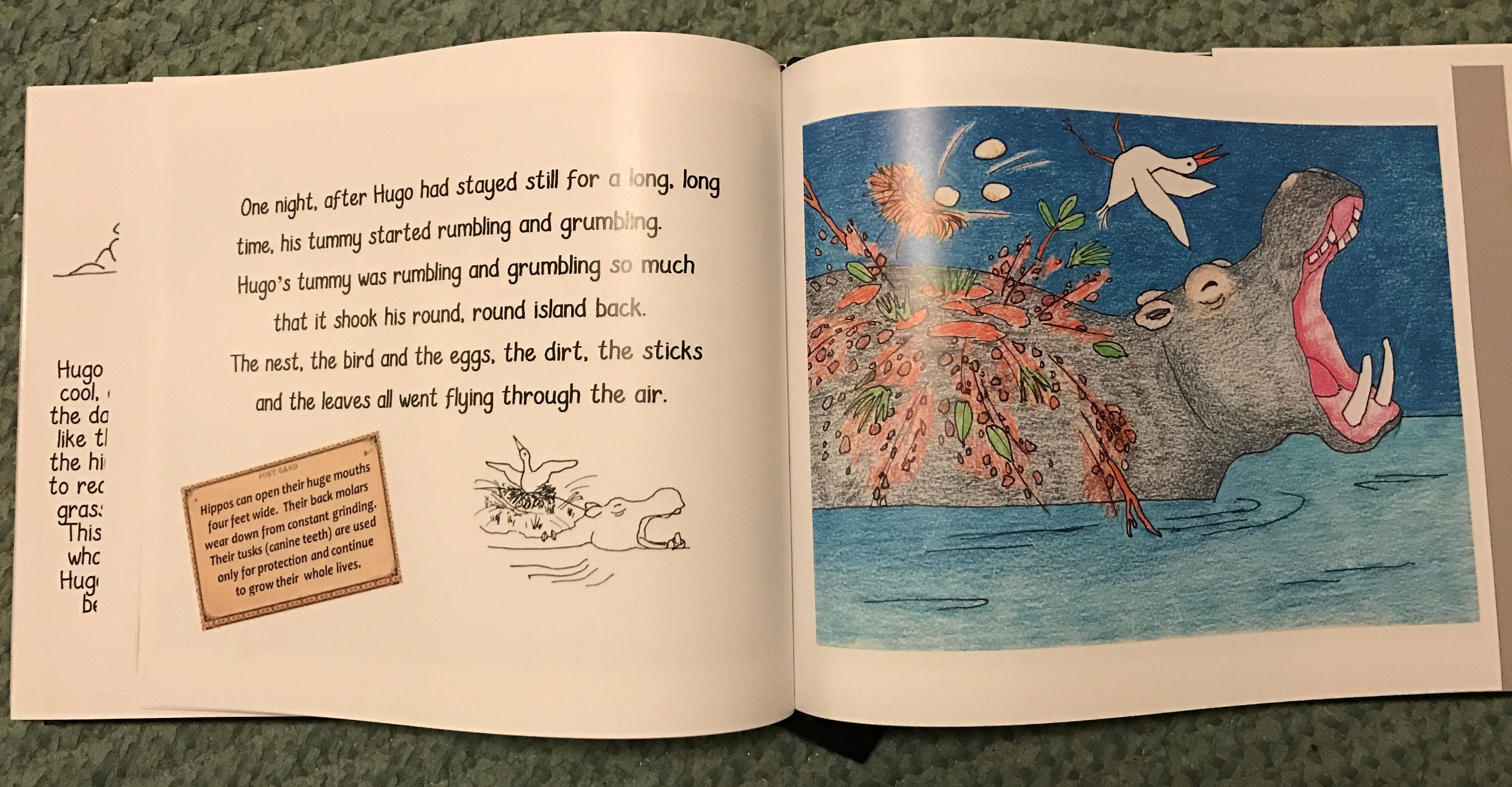 Hugo's Story: a Children's Picture Book About a Hippopotamus - Etsy