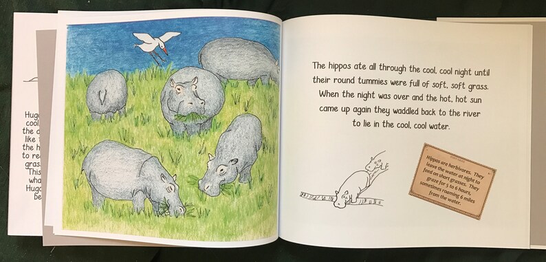 Hugo's Story: a Children's Picture Book About a Hippopotamus - Etsy