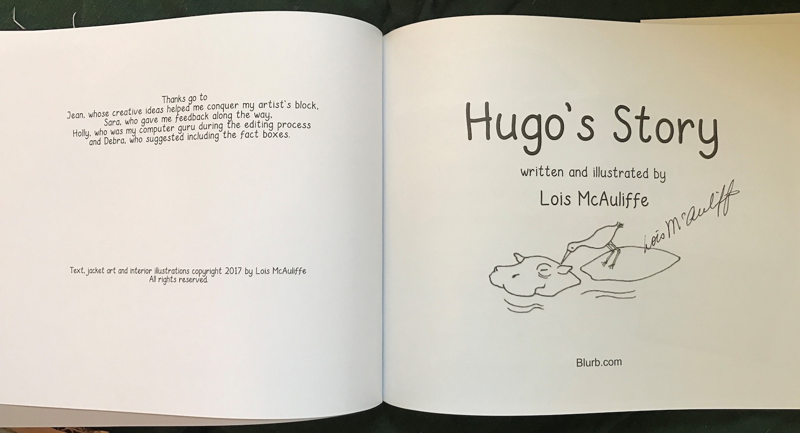 Hugo's Story: a Children's Picture Book About a Hippopotamus - Etsy