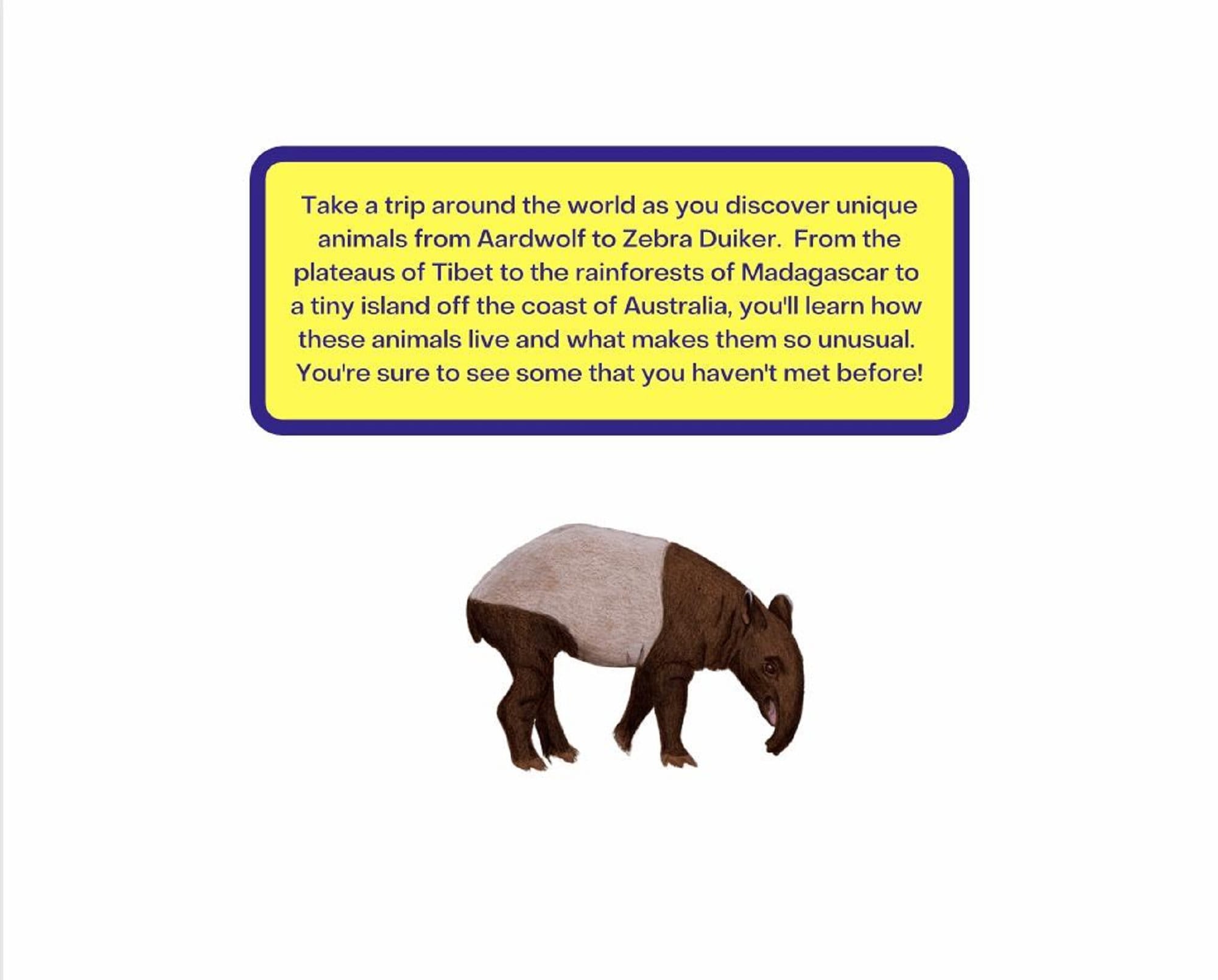 An Unusual Animal Alphabet Book - Etsy