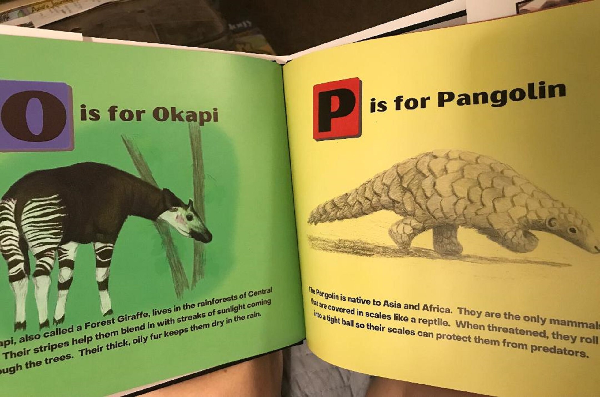 An Unusual Animal Alphabet Book - Etsy
