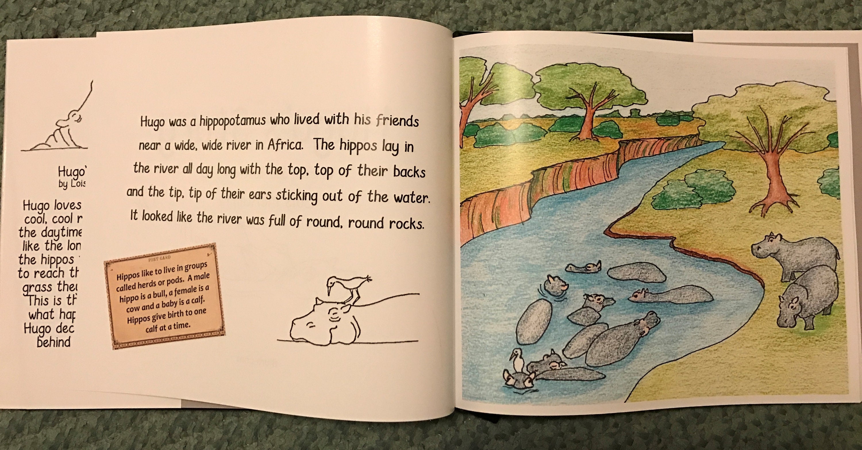 Hugo's Story: a Children's Picture Book About a Hippopotamus - Etsy
