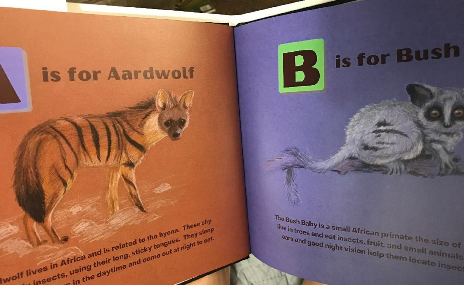 An Unusual Animal Alphabet Book - Etsy