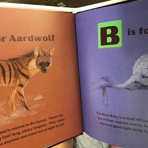 An Unusual Animal Alphabet Book - Etsy