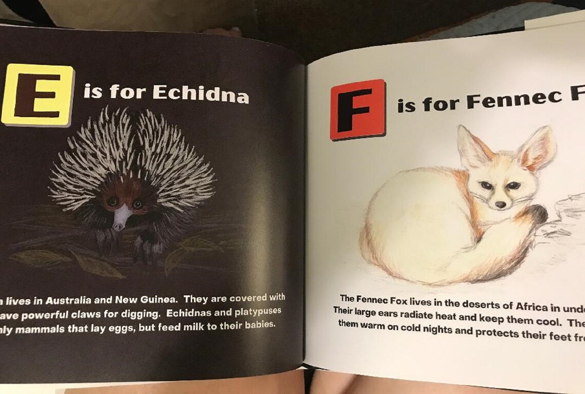 An Unusual Animal Alphabet Book - Etsy