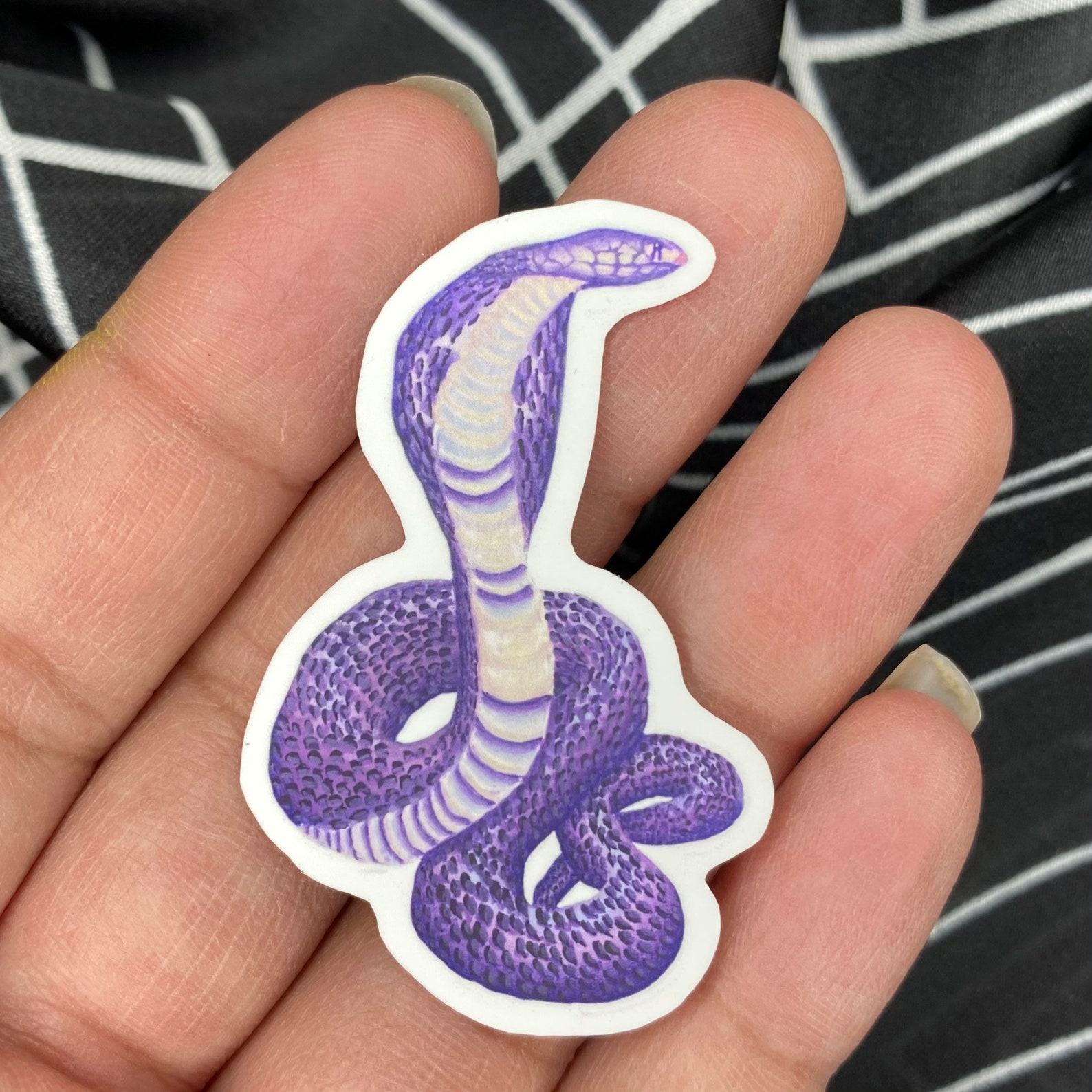 Cobra sticker | Etsy