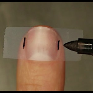Long Pointy Creature Claws, Dirty-looking Reusable Press-on Nails ...