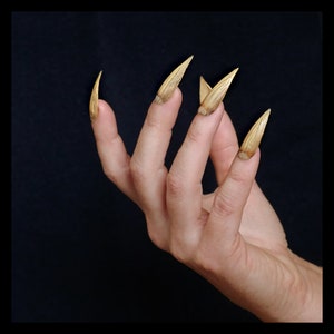 Long Pointy Creature Claws, Dirty-looking Reusable Press-on Nails ...