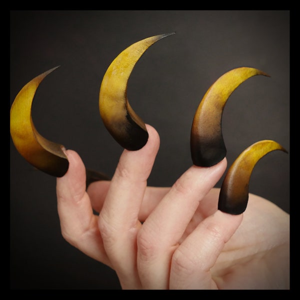 Raptor Claw - Etsy
