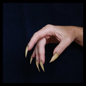 Long Pointy Creature Claws, Dirty-looking Reusable Press-on Nails ...