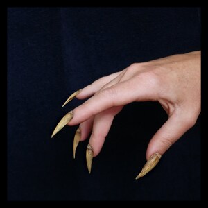 Long Pointy Creature Claws, Dirty-looking Reusable Press-on Nails ...