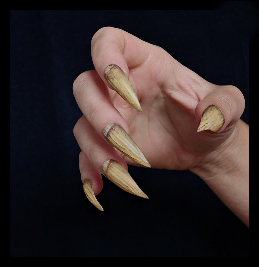 Long Pointy Creature Claws, Dirty-looking Reusable Press-on Nails ...