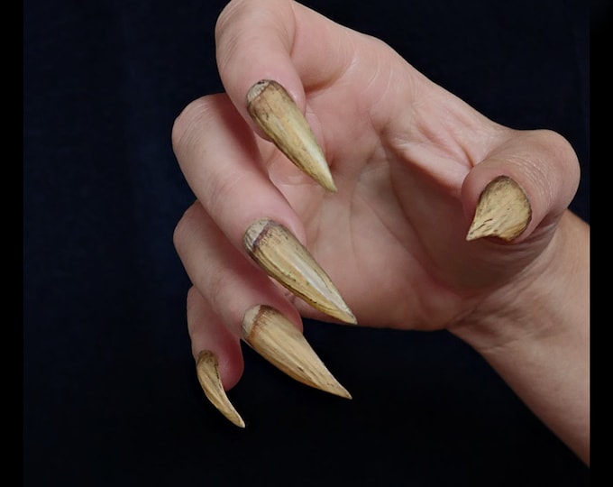 Long Pointy Creature Claws, Dirty-looking Reusable Press-on Nails ...