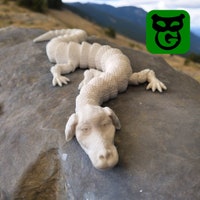 Falcor - Etsy