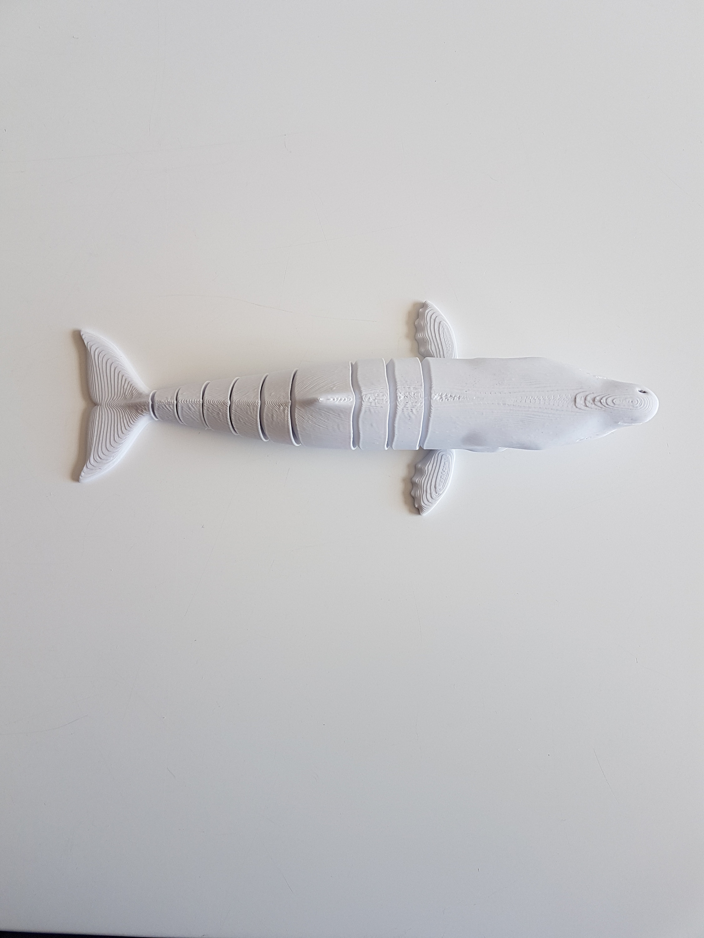 Sperm Whale (3D Blueprint) - Etsy