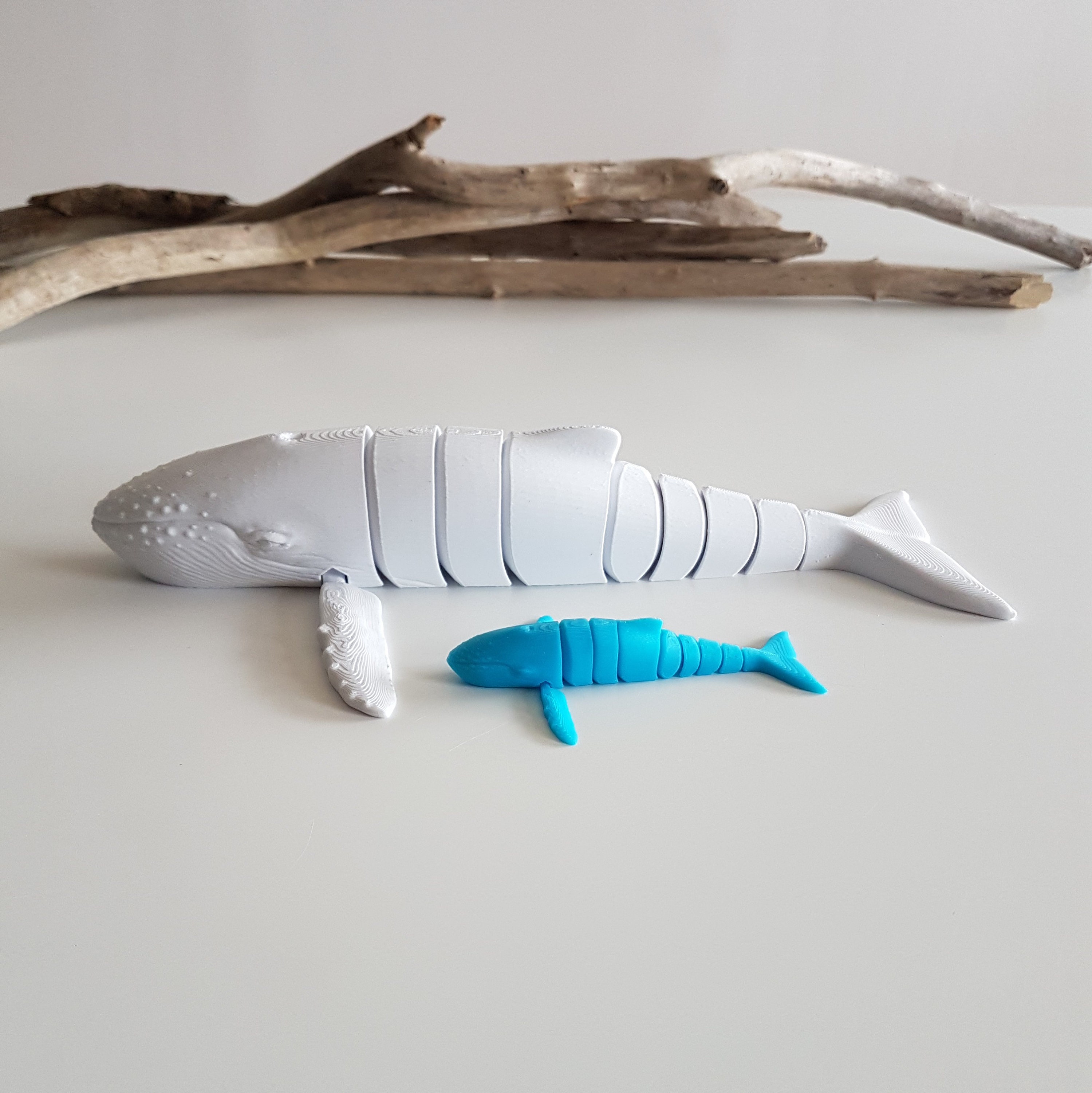 Humpback Whale (3D Blueprint) - Etsy
