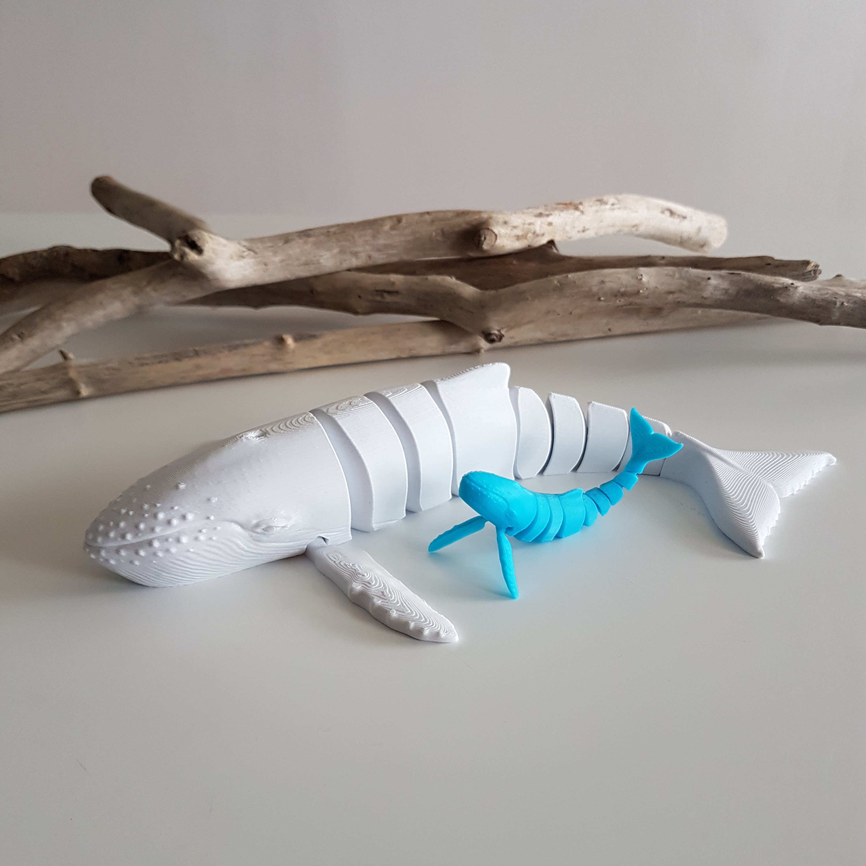 Humpback Whale (3D Blueprint) - Etsy