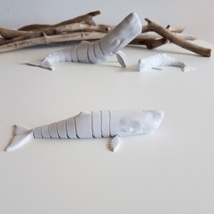 Sperm Whale (3D Blueprint) - Etsy