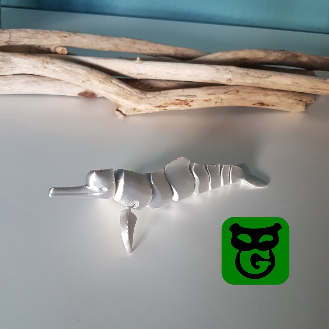 Amazon River Dolphin (3D Blueprint) - Etsy