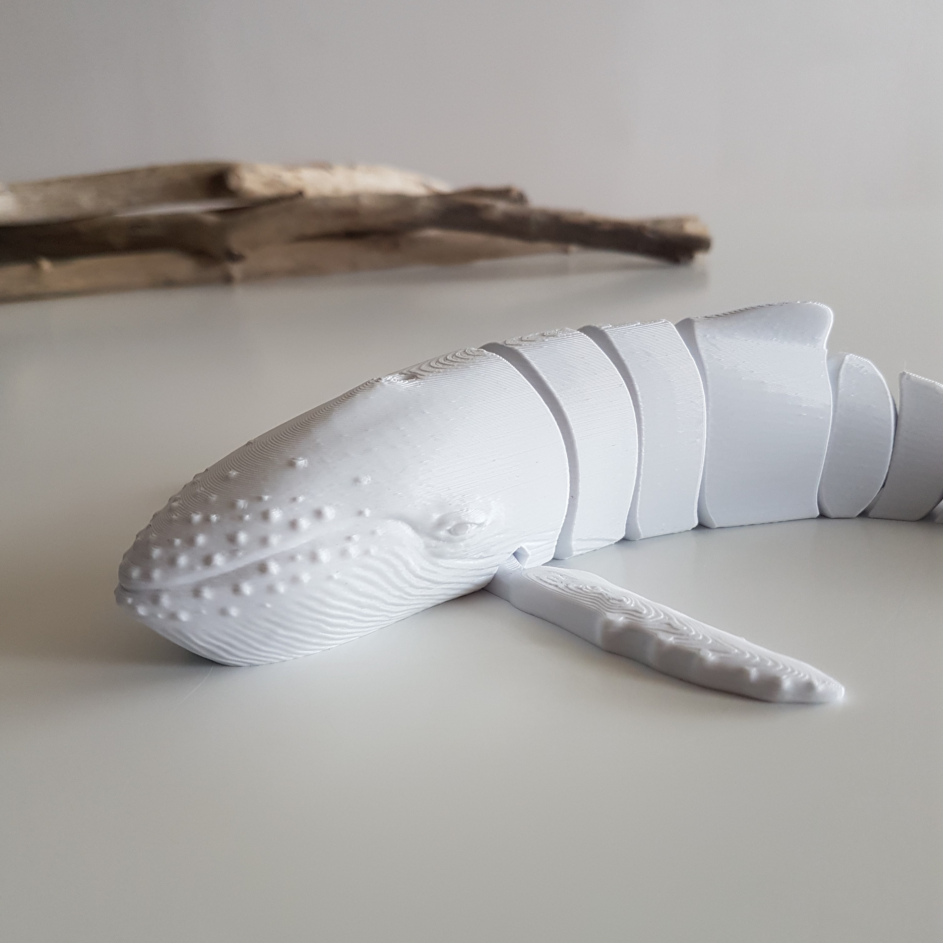Humpback Whale (3D Blueprint) - Etsy