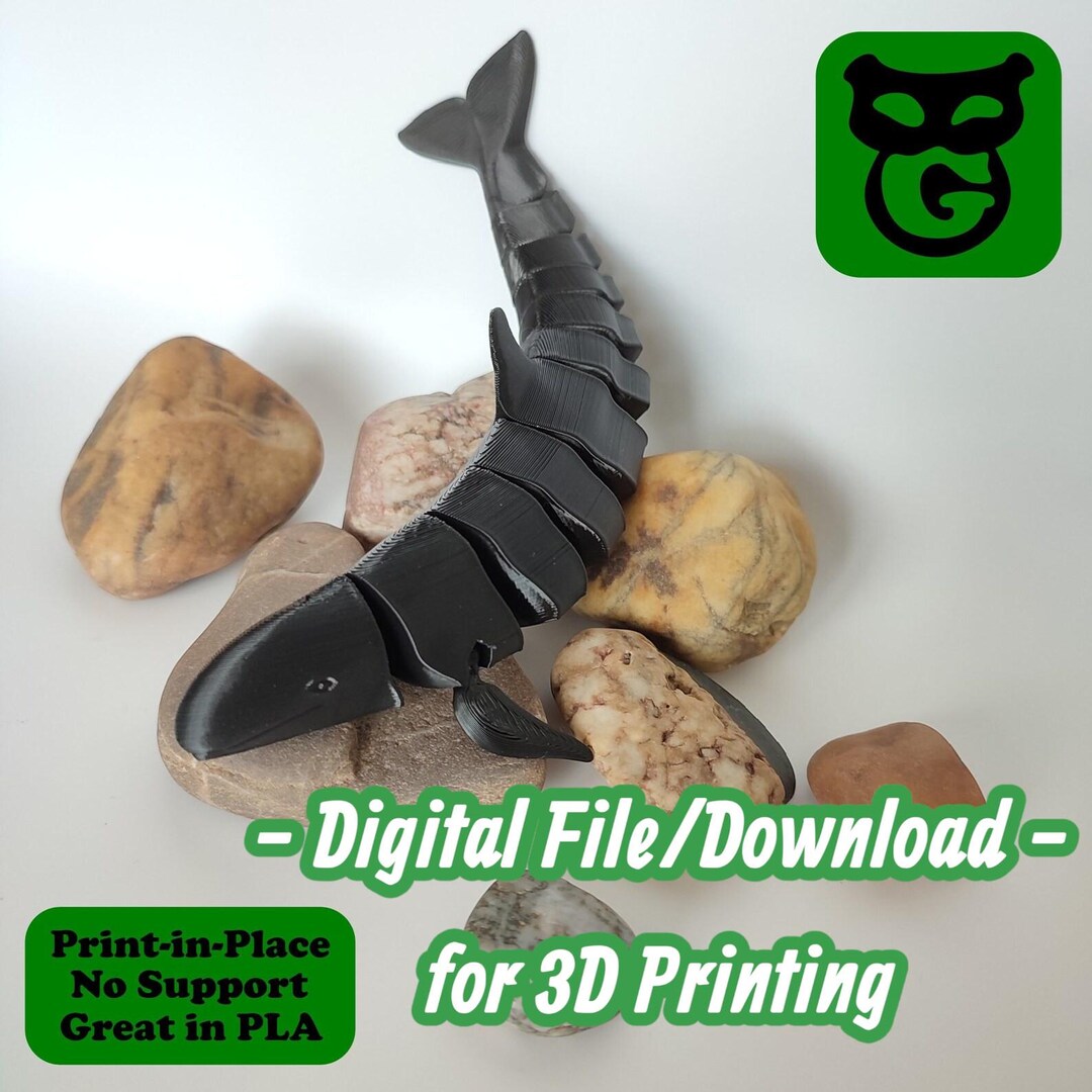False Killer Whale (3D Blueprint) - Etsy