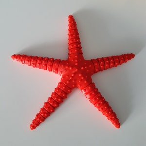 Starfish (3D Blueprint) - Etsy