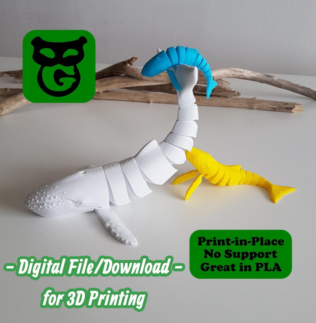 Humpback Whale (3D Blueprint) - Etsy