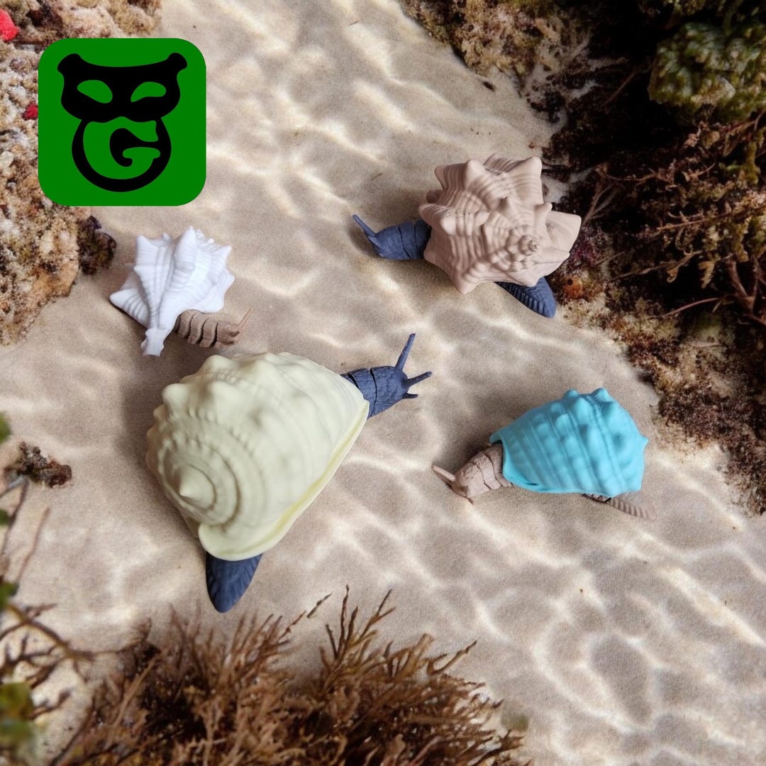 Sea Snail (3D STL; Print-in-place; No Support; Flexi) - Etsy