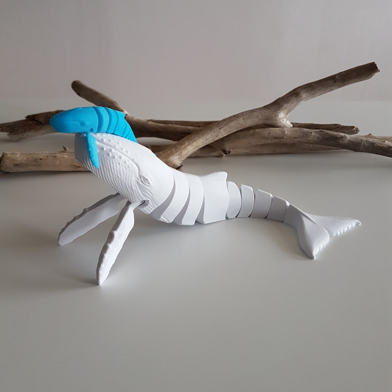 Humpback Whale (3D Blueprint) - Etsy