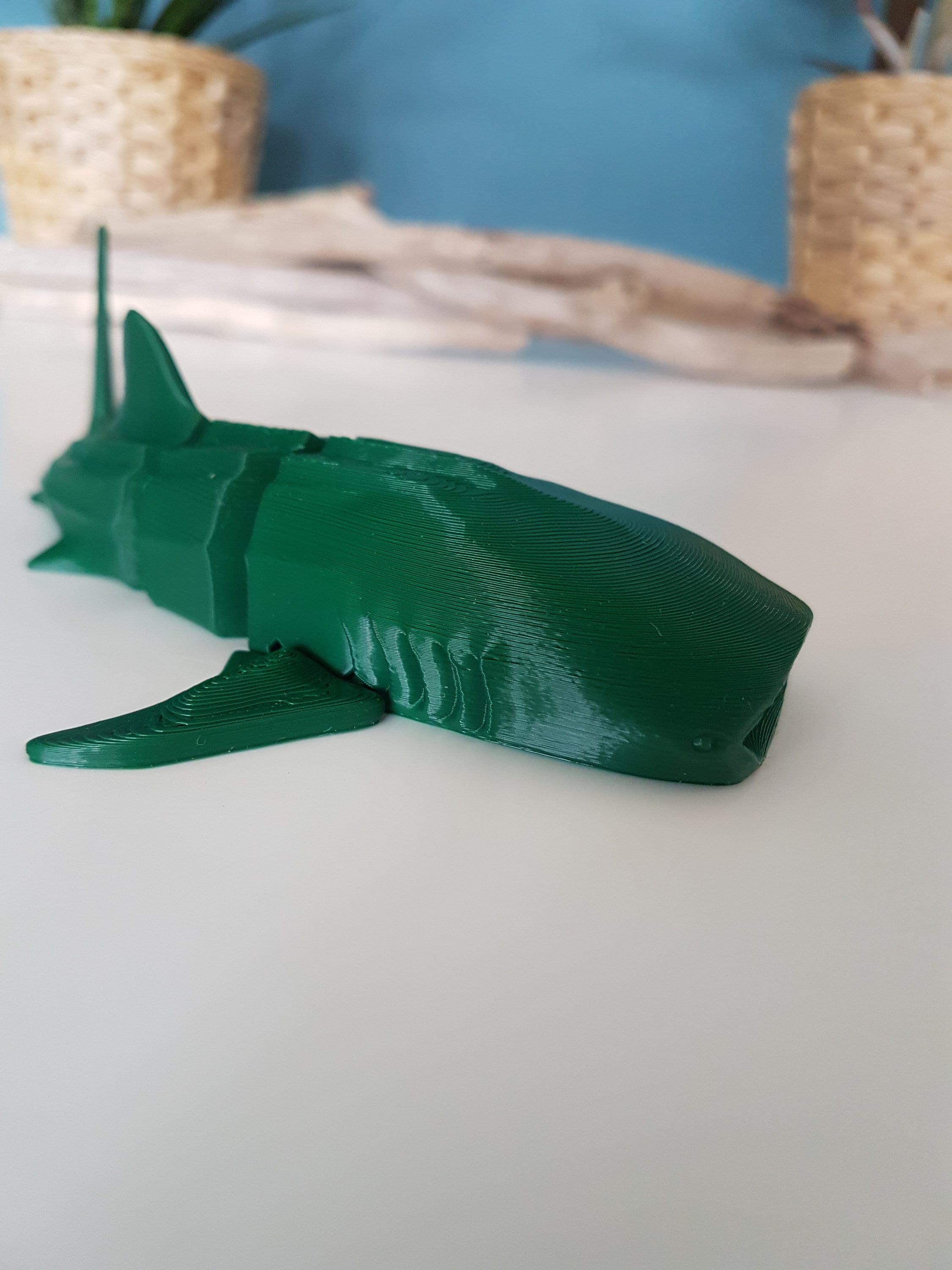 Whale Shark 3D STL Print-in-place No Support Flexi - Etsy