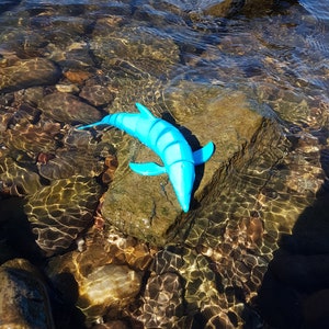 Dolphin (3D Blueprint) - Etsy