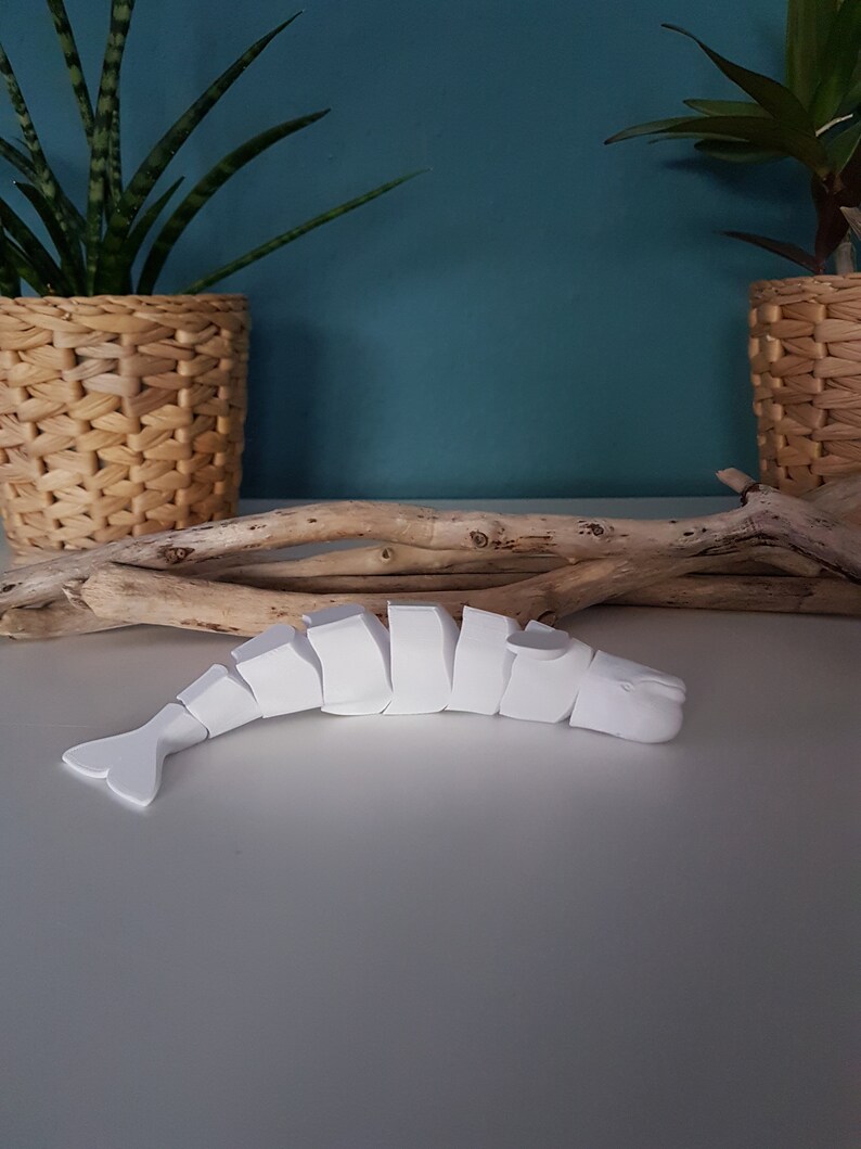 Beluga 3D STL Print-in-place No Support Flexi - Etsy