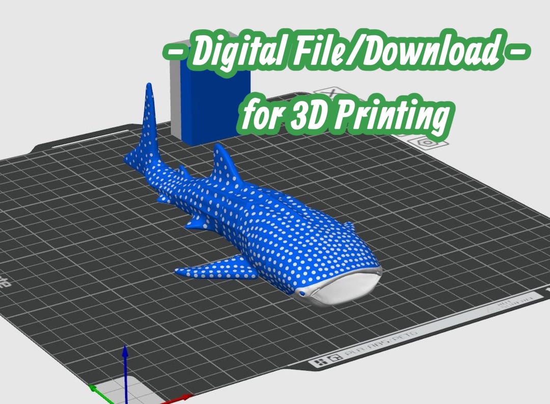 Whale Shark (3D Blueprint; Multicolor.3mf Included) - Etsy