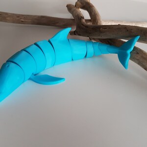 Dolphin (3D Blueprint) - Etsy