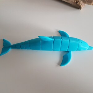 Dolphin (3D Blueprint) - Etsy